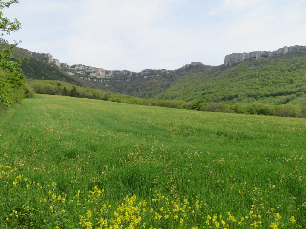 Un terrain de parachutage localisé - "Séville" à Peyrus - Les amis de ...
