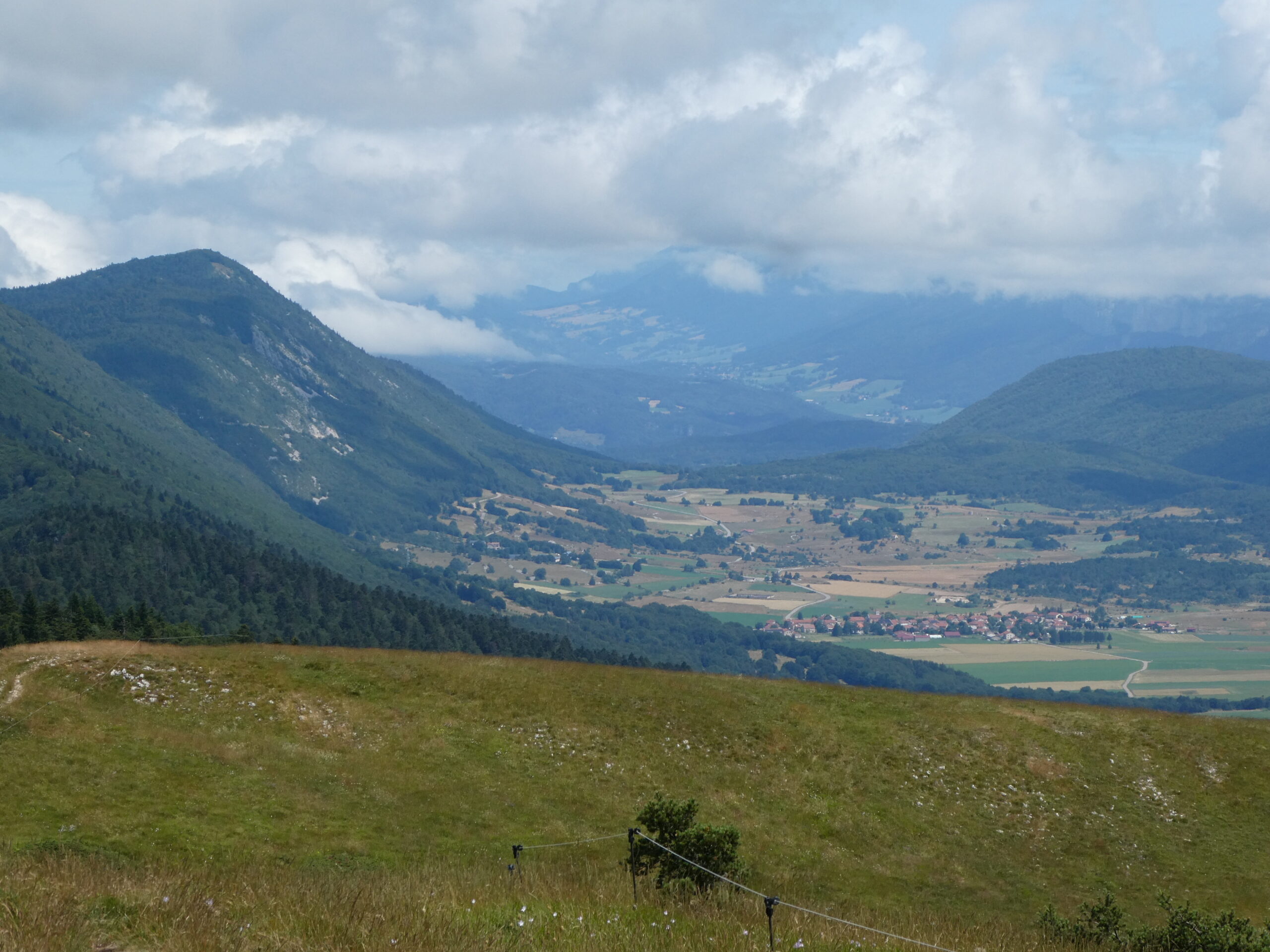 Marche commentée du 6 août 2023 – Forêts et prés de Vassieux - Les amis ...